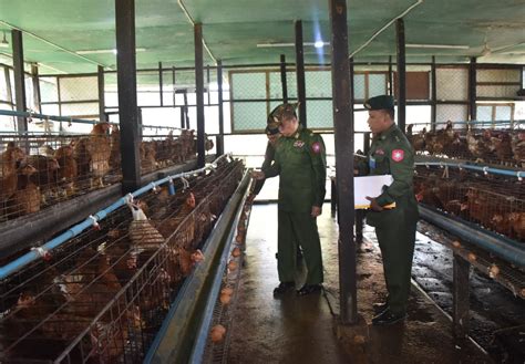 ဒေသတွင်းစိုက်ပျိုး၊ မွေးမြူရေးနှင့် ကုန်ထုတ်လုပ်မှုလုပ်ငန်းများ ရာနှုန်းပြည့် အောင်မြင်အောင