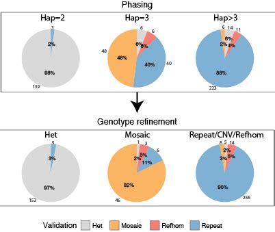 GitHub Parklab MosaicForecast A Mosaic Detecting Software Based On Phasing And Random Forest