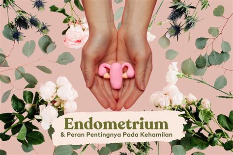 Endometrium Fungsi Gangguan Dan Perannya Pada Kehamilan