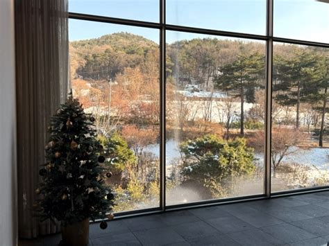 르디투어 광교 아기랑 갈만한곳 누울 수 있는 카페 네이버 블로그