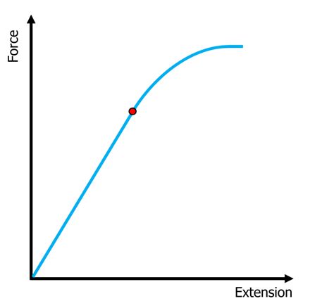 Elasticity Questions And Revision Mme