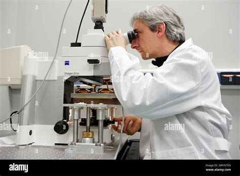 Using A Kerr Microscope To Visualize The Magnetic Domain Structure Of A Sample Probe Microscopy