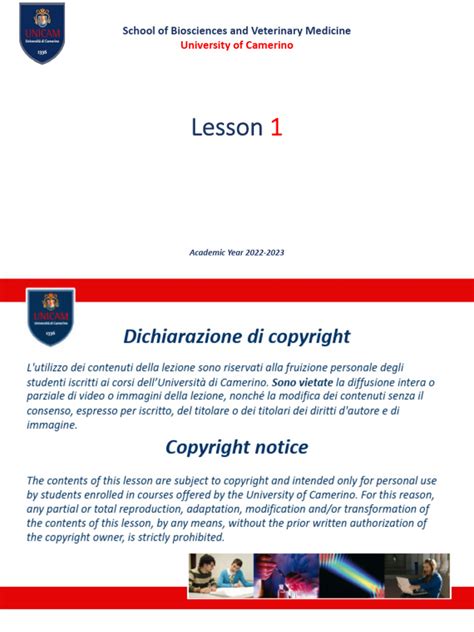 Lesson 1 Pdf Protein Structure Proteins