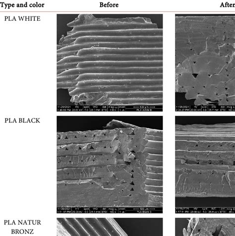 Microscopy Longitudinal Section Before And After The Fracture Download Scientific Diagram