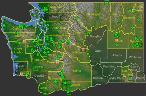 Isoetes Burke Herbarium Image Collection