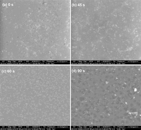 Effect Of Substrate Surface Etching On Biofilm Growth Sem Image Of