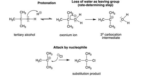 Orgo Lab 10 Flashcards Quizlet