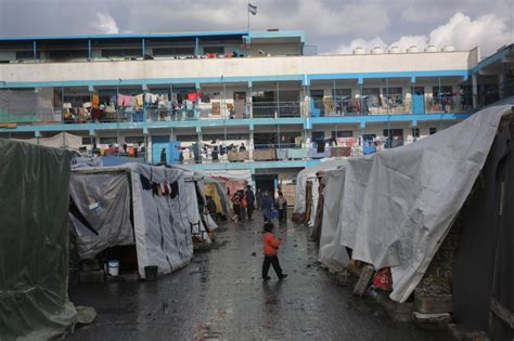 Bisher Alayed Posted On Linkedin