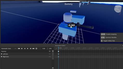 animation editor is mirroring and i do not know what at all how do i