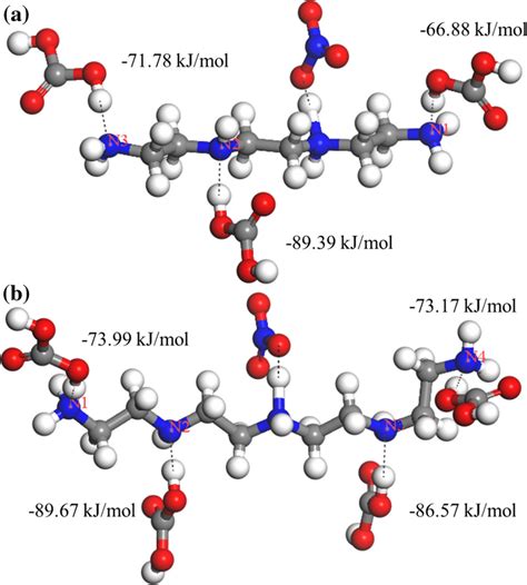 Optimal Interaction Configurations And Binding Energies For Hco3⁻ Over