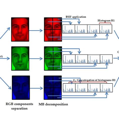Structure Of The Proposed Feature Extraction Approach Mb C Bsif Download Scientific Diagram