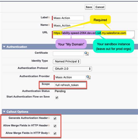 use soap api instead of rest api when invoking anonymous apex · issue
