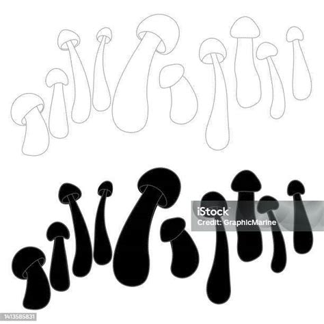 점선으로 된 버섯 벡터 세트 흰색 배경에 고립 된 간단한 일러스트레이션 윤곽선과 실루엣 손으로 그린 스케치 버전 벡터 균학 자연 건강한 곰팡이 가을 디자인 가을에 대한 스톡