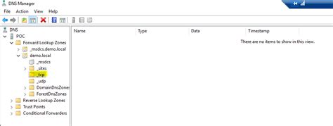 Restore Deleted Srv Dns Records Yogesh