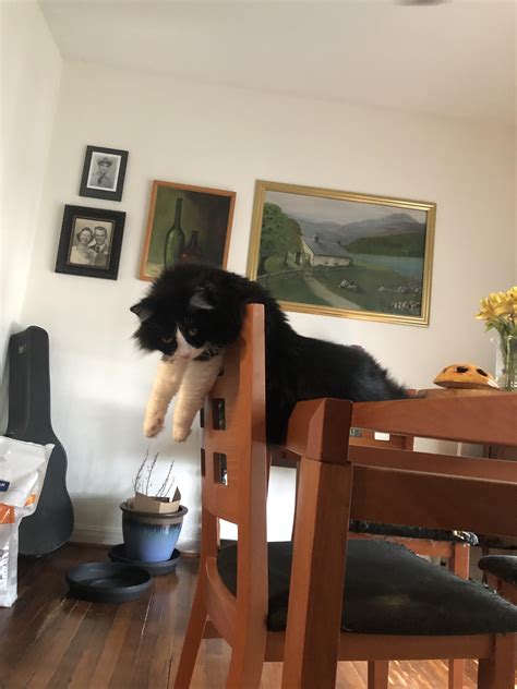 Best Sophie Images On Pholder Ghibli Behindthebastards And Celeb Lb Ds