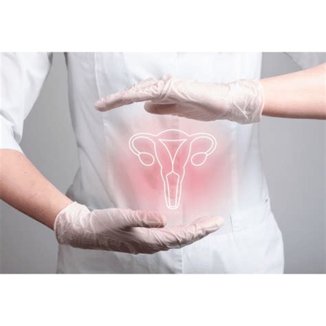 Mast Cell Activation The Complex Interplay Of Endometriosis And Inflammation Womens Pelvic