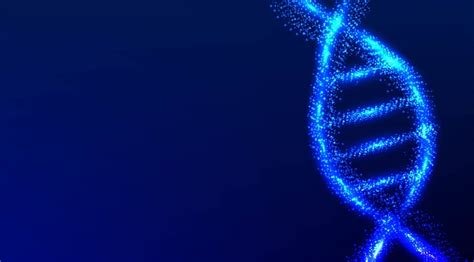 다각형 Dna 개념 의학 배경 혁신 의학 및 기술 개념 벡터 일러스트레이션 입체 이미지에 대한 스톡 벡터 아트 및 기타 이미지 입체 이미지 추상적인 3차원 형태