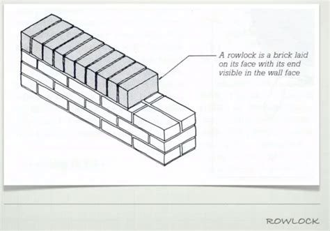 Brick Rowlock For Building Design