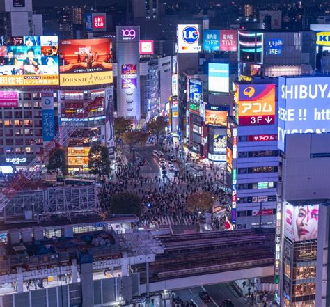 Complete Shibuya Area Guide You Could Travel