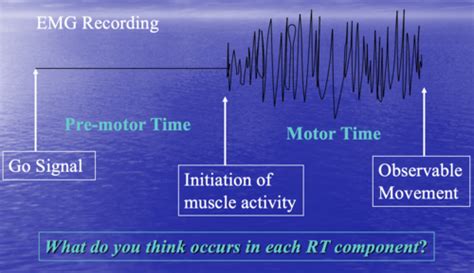Chapter The Measurement Of Motor Performance Flashcards Quizlet
