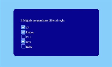 Css Ile Checkbox Biçimlendirme Tasarım Kodlama