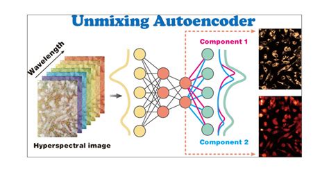 Unmixing Autoencoder For Image Reconstruction From Hyperspectral Data