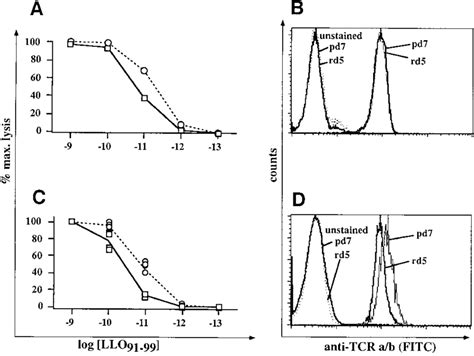 Recall Llo 9199 Specific T Cells Are Characterized By Higher Peptide
