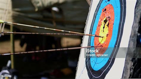 활과 화살로 촬영하기위한 야외 목표물 여름날 양궁 화살 공원에서 양궁 목표 목표를 달성하십시오 목표 보드와 화살표 촬영 나비매듭에 대한 스톡 사진 및 기타 이미지 Istock