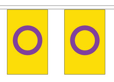 Intersex Pride 5m Flag Bunting