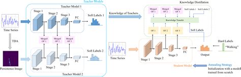topological persistence guided knowledge distillation for wearable