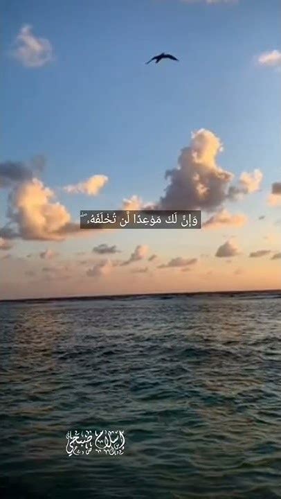 قال فاذهب فإن لك في الحياة أن تقول لا مساس إسلام صبحي Youtube