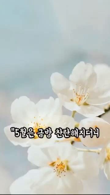 피천득 1분 명언 명언 긍정의말 동기부여 긍정적마인드 긍정의한줄 지식 자기계발 Youtube