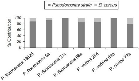 Frontiers Pseudomonas Fluorescens Group Bacterial Strains Interact Differently With Pathogens