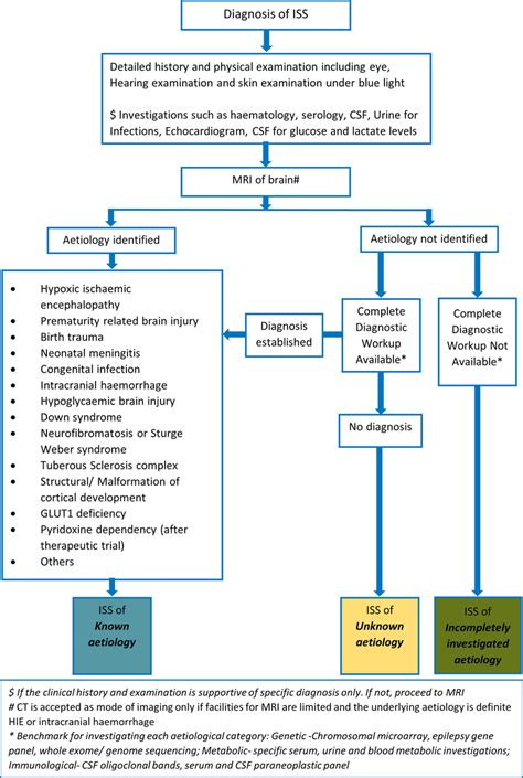 algorithm for classifying etiology of infantile spams syndrome iss in