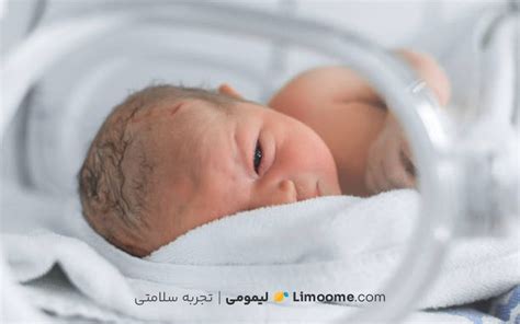 رابطه جنسی در بارداری و پس از به دنیا آمدن نوزاد مجله سلامتی لیمومی