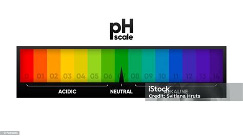 산성 및 알칼리성 용액용 Ph 스케일 미터 산염기 균형 척도 화학 시험 벡터 그림입니다 0명에 대한 스톡 벡터 아트 및 기타 이미지 Istock