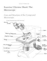 Exercise Review Sheet The Microscope Pdf Course Hero