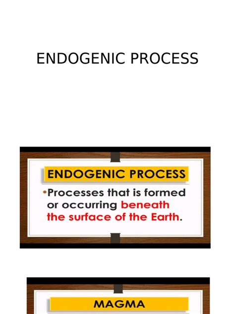 Endogenic Process Pdf
