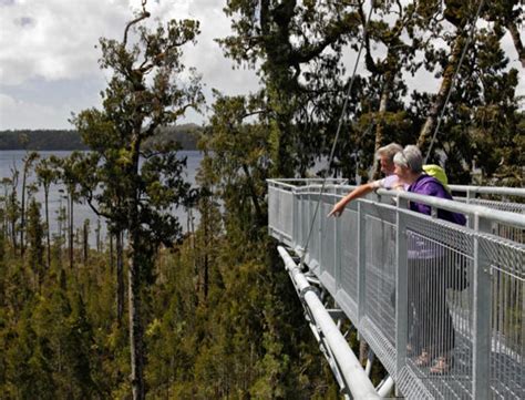 West Coast Treetop Walkway Cafe Hokitika South Island