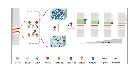 Naked Eye Readout Distance Quantitative Lateral Flow Assay Based On The