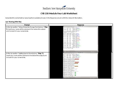 cyb 230 module four lab lab working with files prompt response in