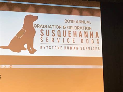 Life With An Ambulatory Dysfunction