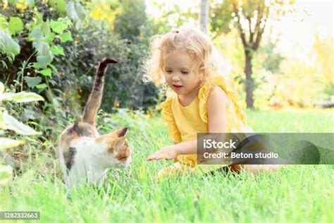 아름다운 금발곱슬 한 아이 소녀는 여름에 잔디 잔디밭에 국내 고양이와 함께 재생합니다 뒤뜰에서 여름 시간에 행복한 어린 시절 백인 아기 소녀 야외 2 3 살에 대한 스톡