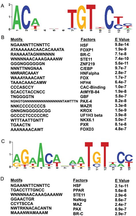 Gres And Other Cis Regulatory Motifs Are Enriched Within Gbrs Unbiased