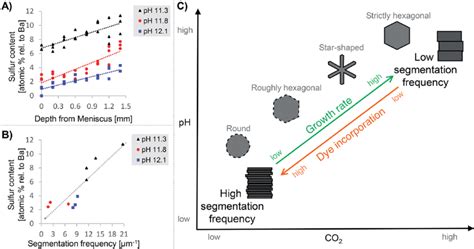effect of different parameters on the spatial segmentation frequency