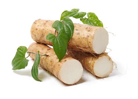 Wild Yam Extract – Viviane Woodard Skincare