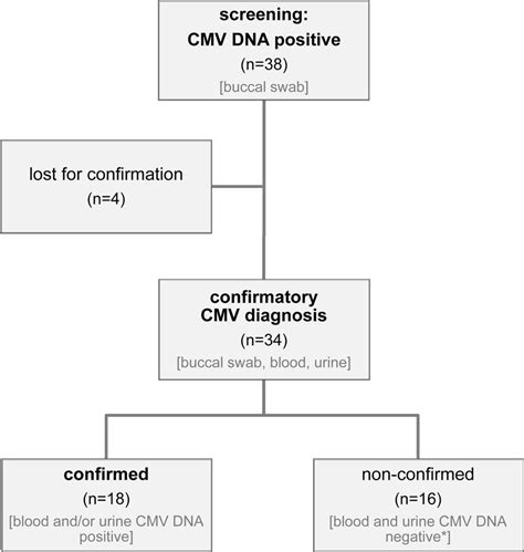Flow Chart Of Confirmatory Cmv Diagnostics 34 Out Of 38 Patients Whose Download Scientific