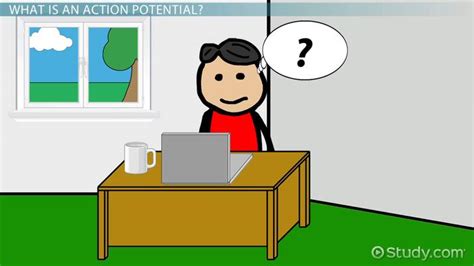 Action Potential Graph Diagram And Depolarization Lesson