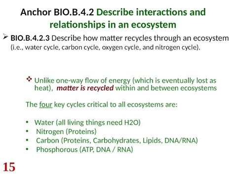 Pptx Anchor Bio B 4 2 Describe Interactions And Relationships In An Ecosystem Bio B 4 2 3