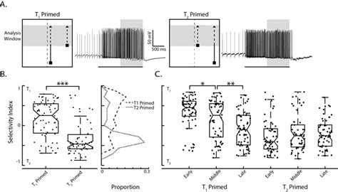 Priming With A Preceding Target Biases Selection Towards The Continuing Download Scientific